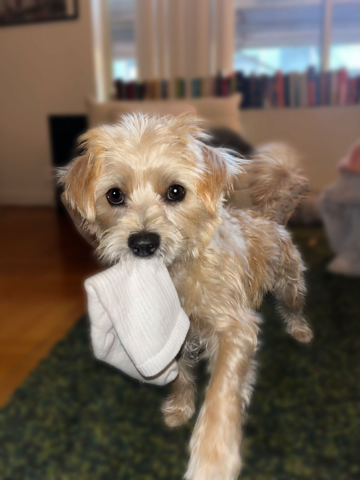 About | Rucker Investments | United States